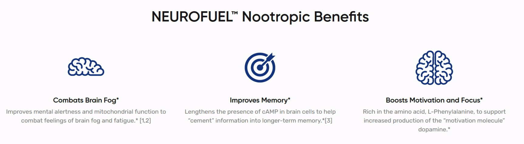 The Best Neurofuel Review For 2025